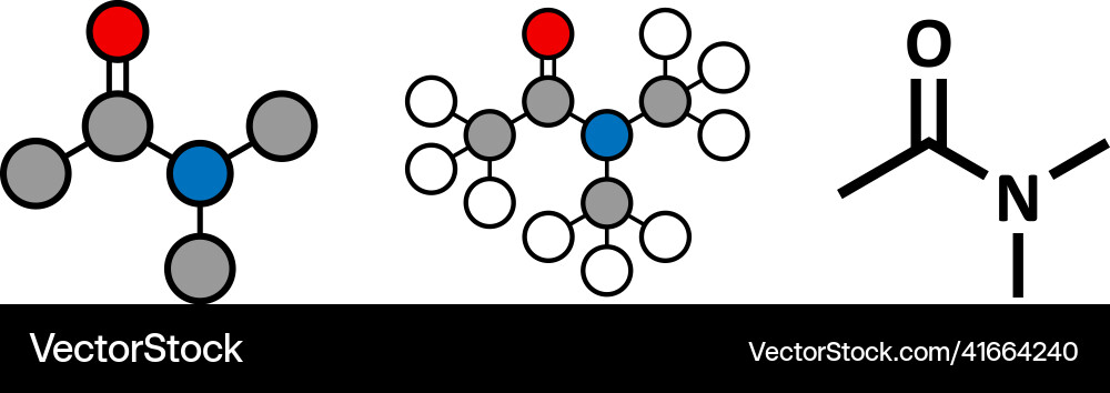 Dimethylacetamide dmac chemical solvent molecule Vector Image