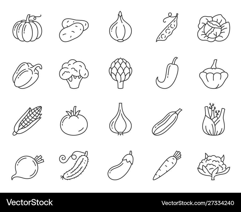 Simple Vegetable Line Icons - Food Collection Vector Image