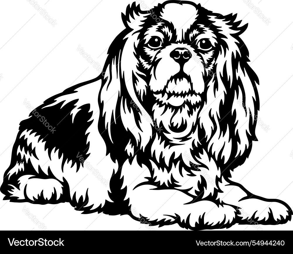 Spaniel dog breed - pet cut file Royalty Free Vector Image