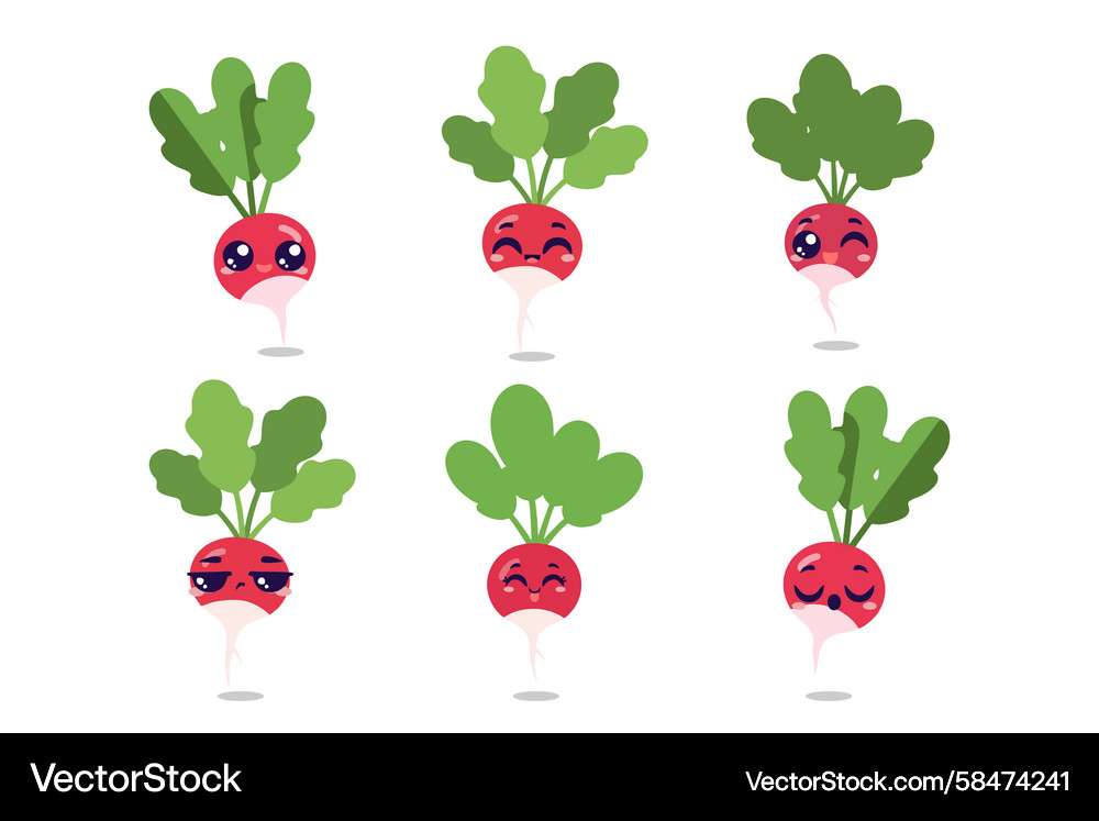 Cute Radish Vegetable Set Royalty Free Vector Image