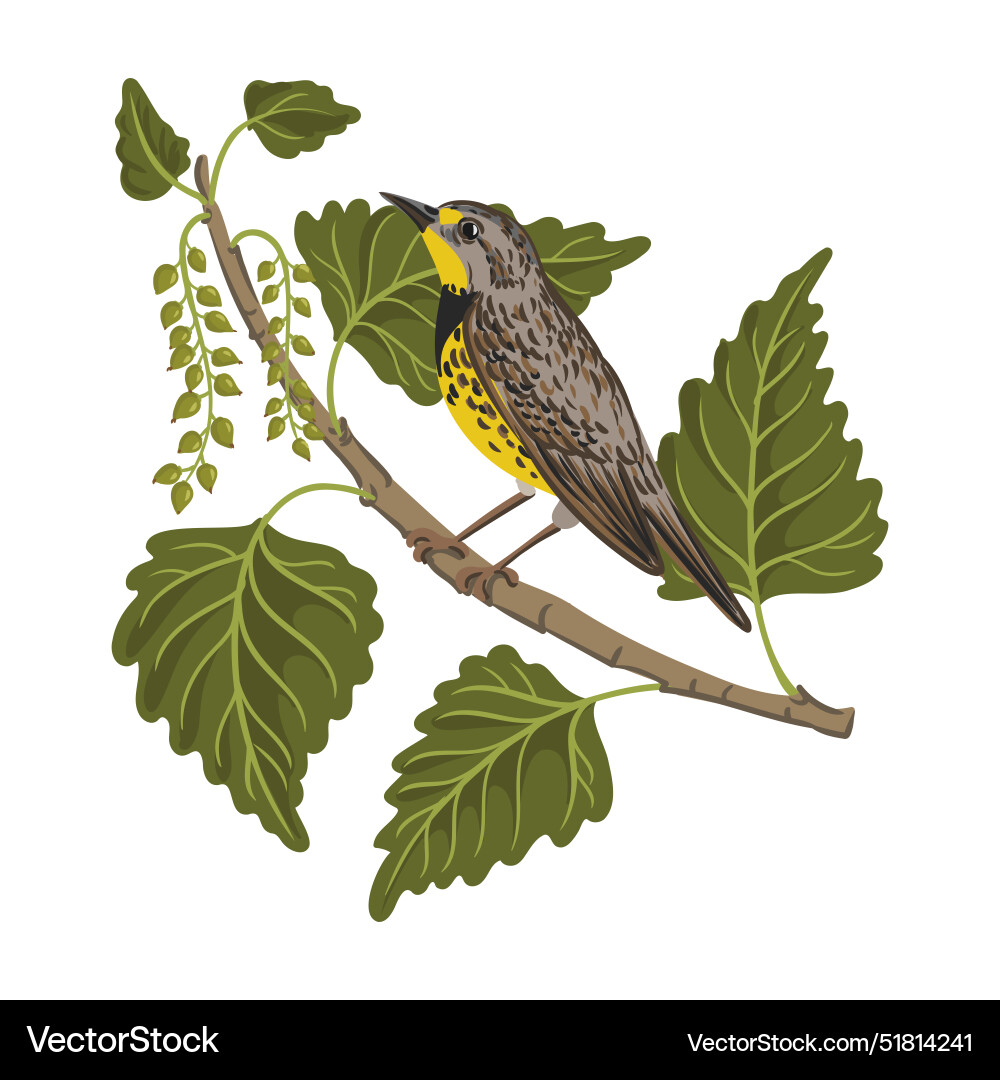 Drawing bird at tree branch Royalty Free Vector Image