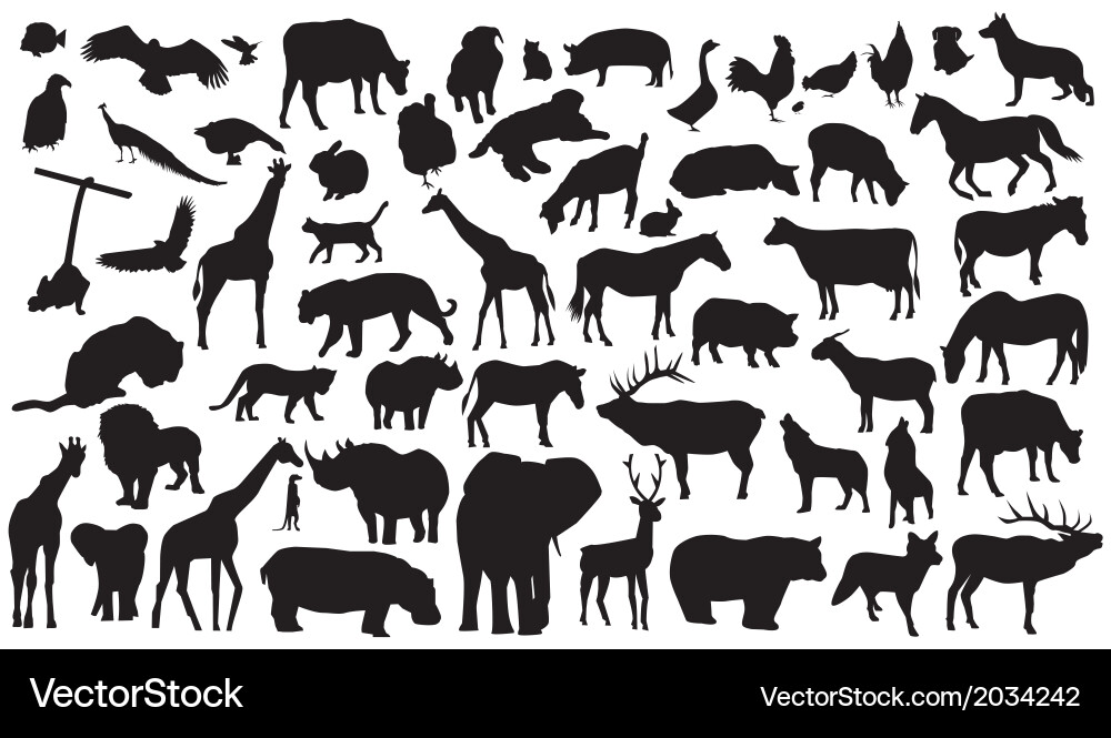 Animals Royalty Free Vector Image - VectorStock