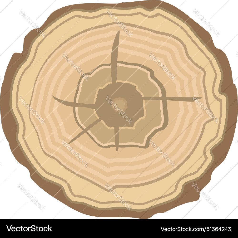 Crosssection of tree trunk Royalty Free Vector Image