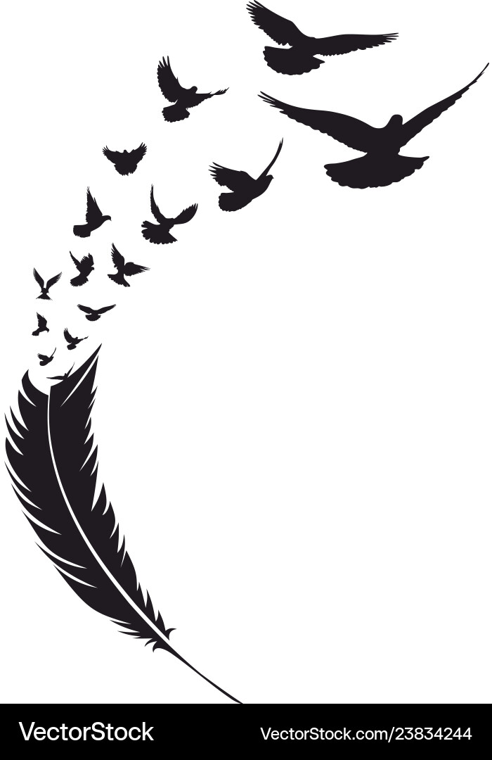 Flying bird with feather Royalty Free Vector Image