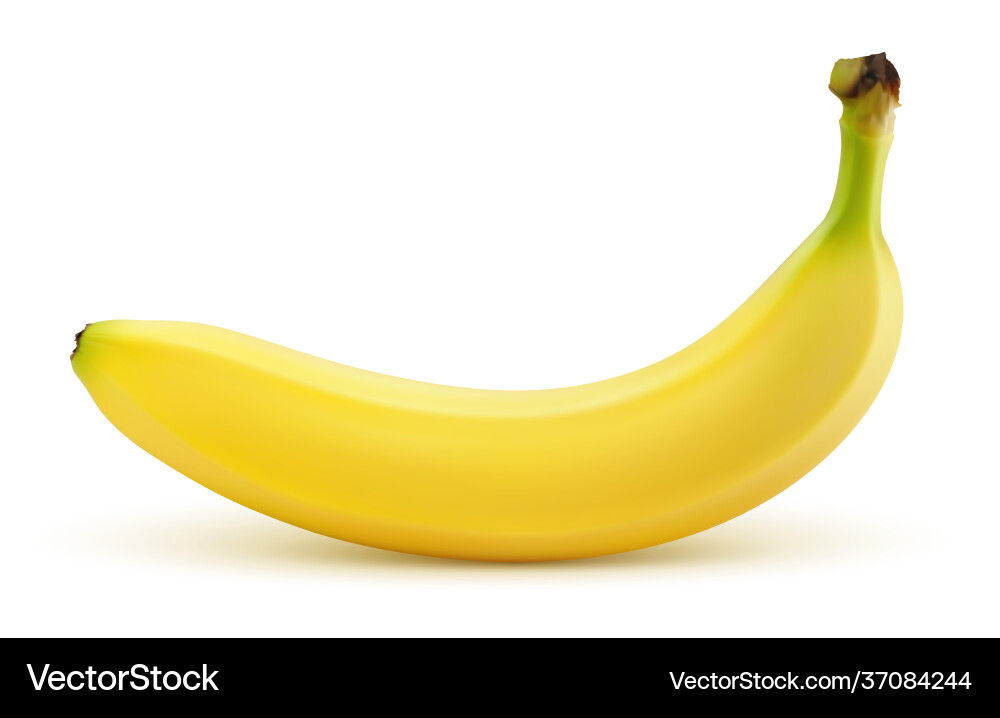 Realistic banana Royalty Free Vector Image - VectorStock