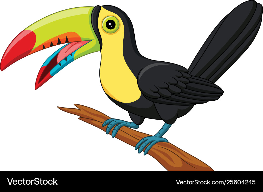 Cartoon toucan bird isolated on white background Vector Image
