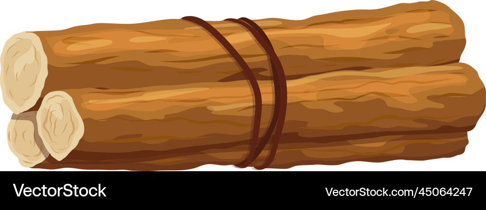 Licorice root cartoon Royalty Free Vector Image