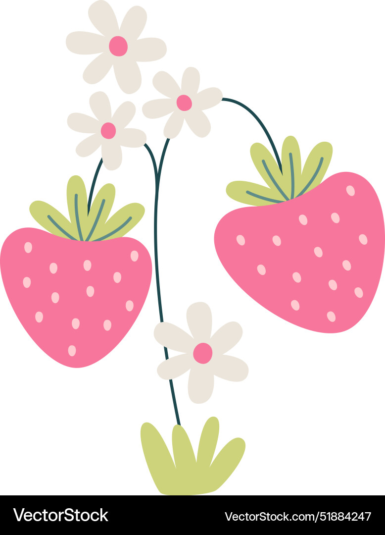 Strawberry and flowers Royalty Free Vector Image