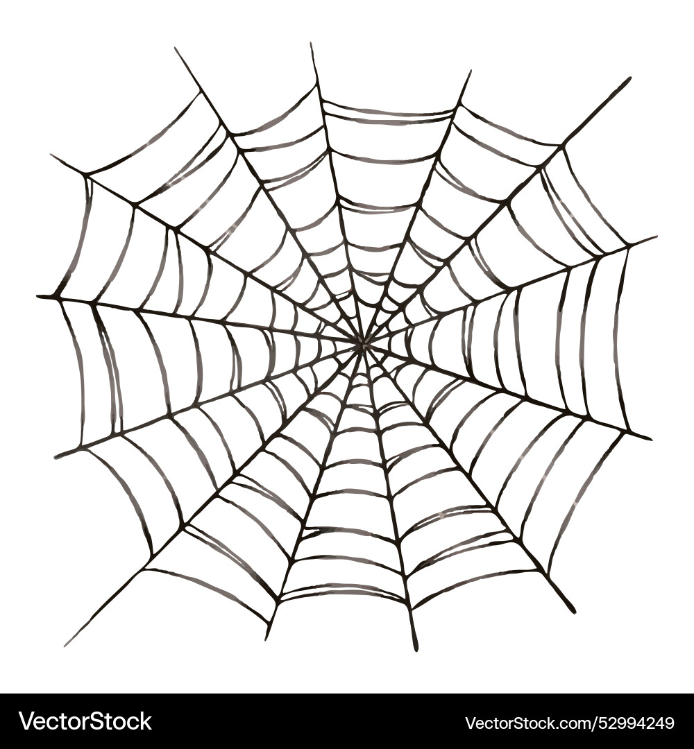 Spider web circle black with reflection in cartoon