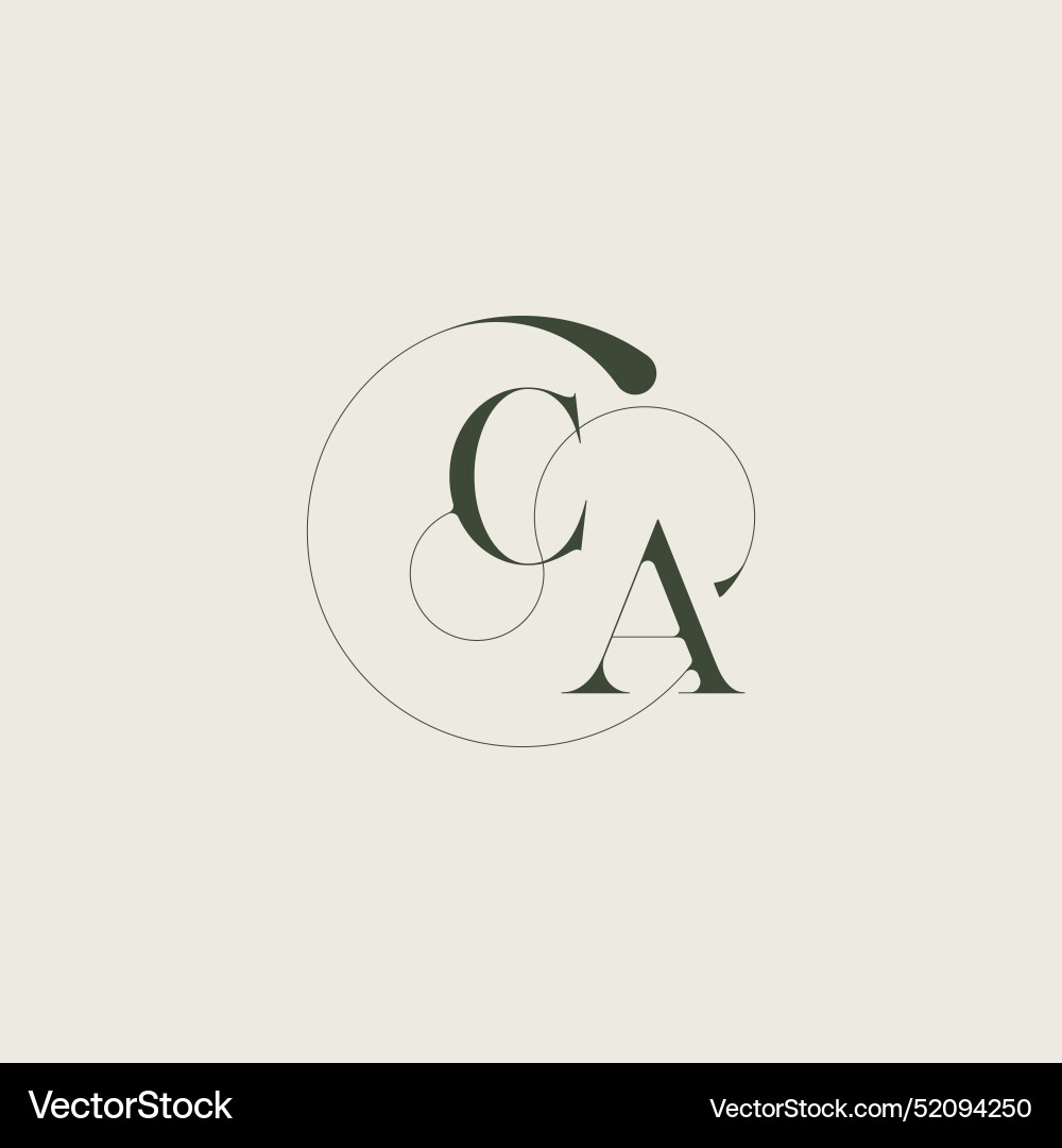 Beautiful monogram initial elegant line concept Vector Image