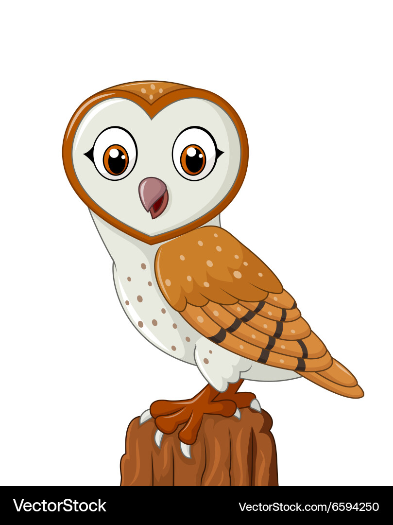 Cartoon barn owl isolated on white background Vector Image
