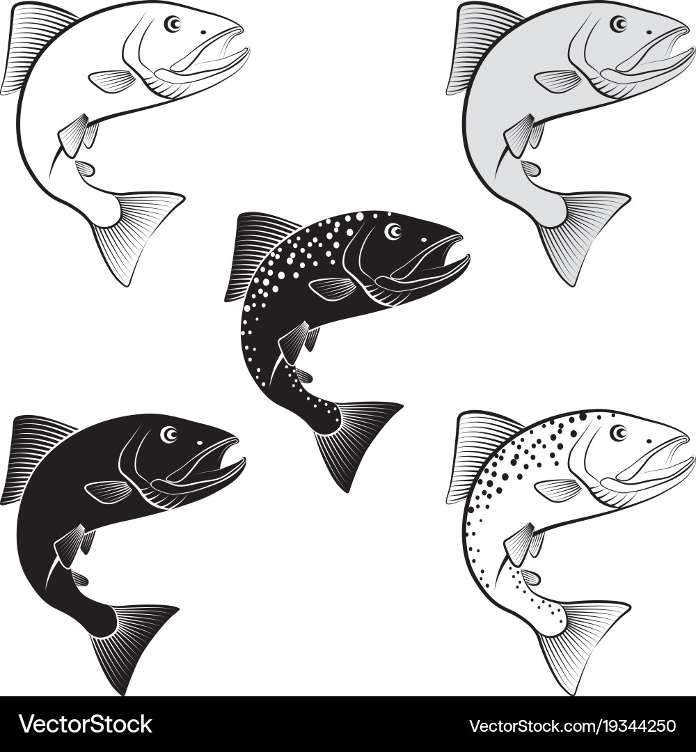 Salmon Royalty Free Vector Image - VectorStock