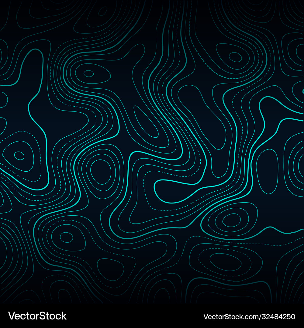 Topographic map design Royalty Free Vector Image