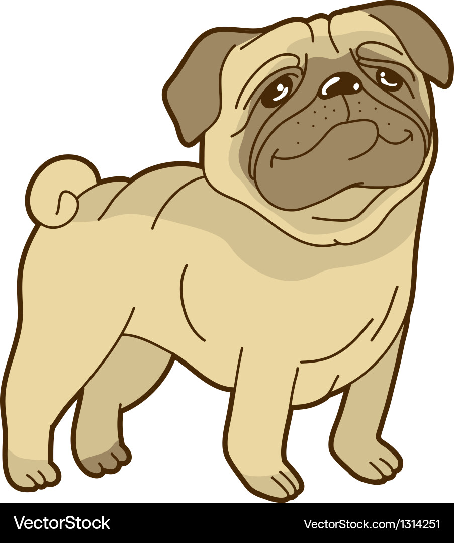 Funny cartoon pug Royalty Free Vector Image - VectorStock