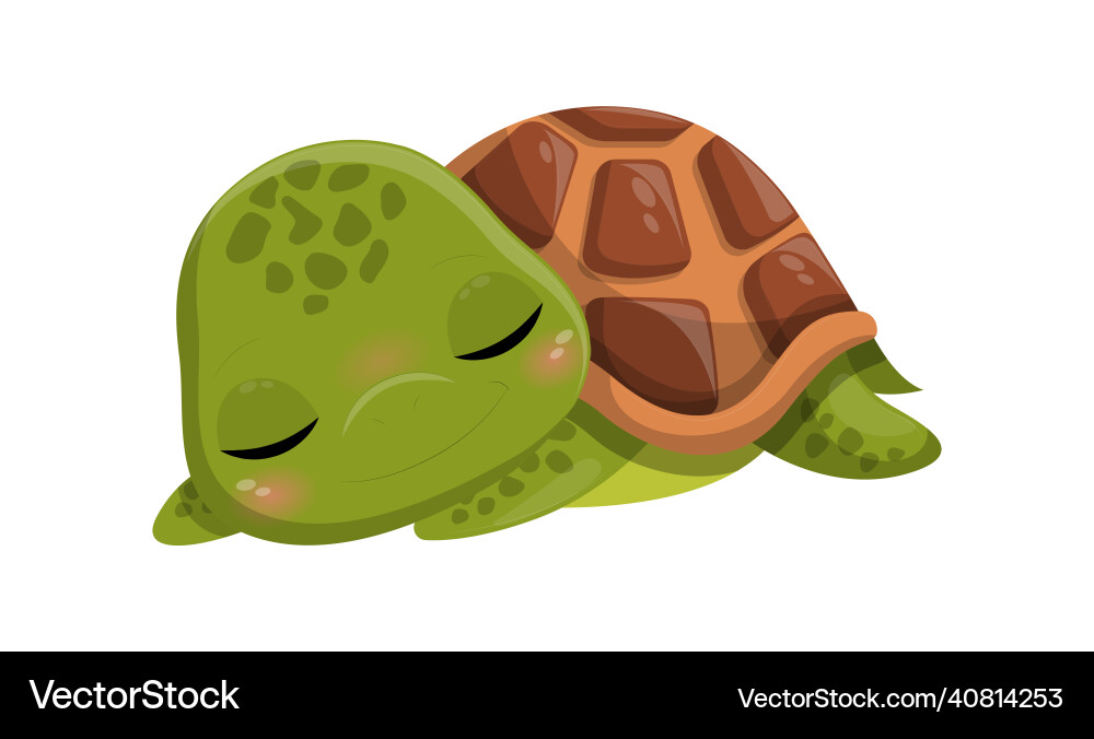 Sleepy Turtle Cartoon Royalty Free Vector Image