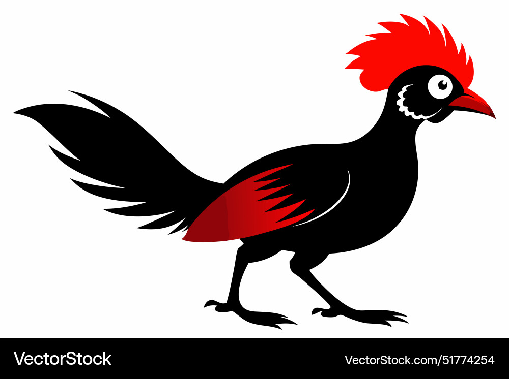 Red crested turaco k Royalty Free Vector Image