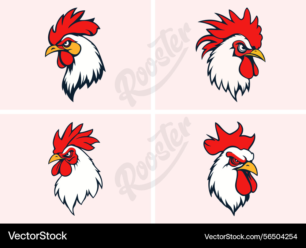 Roster design templates editable and ready Vector Image