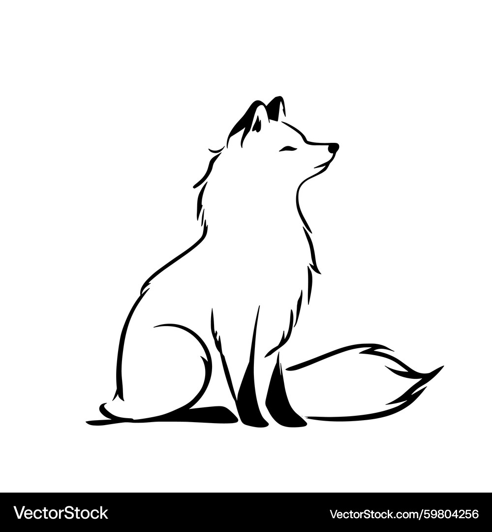 Arctic Fox Line Art Royalty Free Vector Image - VectorStock
