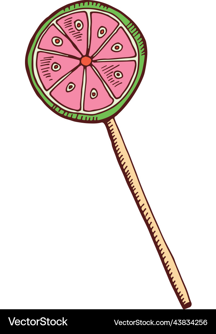 Watermelon lollipop sweet round sugar candy Vector Image