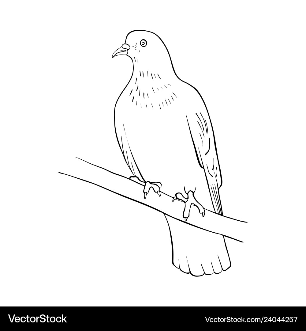 Bird at tree branch Royalty Free Vector Image - VectorStock