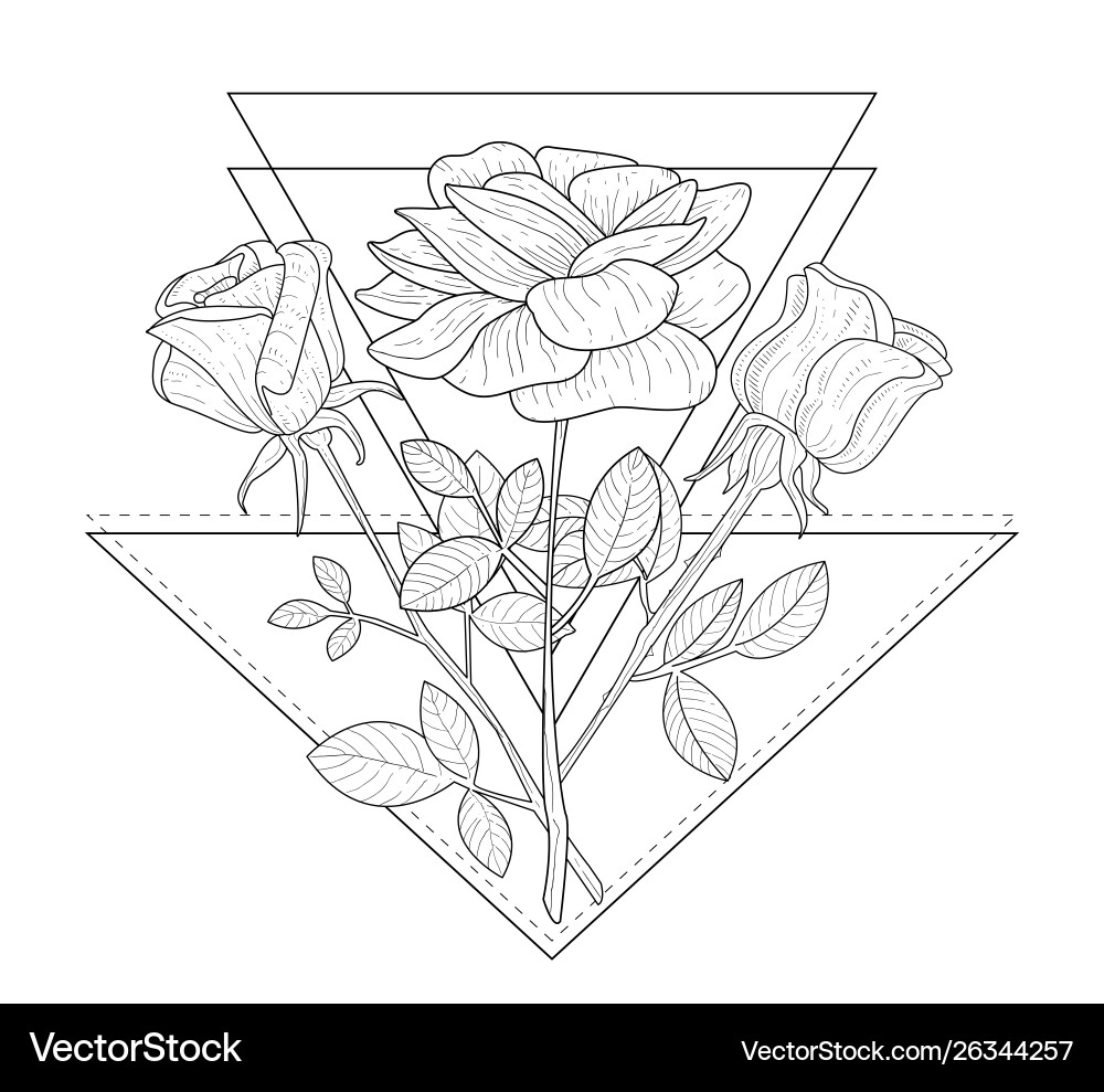 Triangle with rose flowers hand drawn monochrome Vector Image