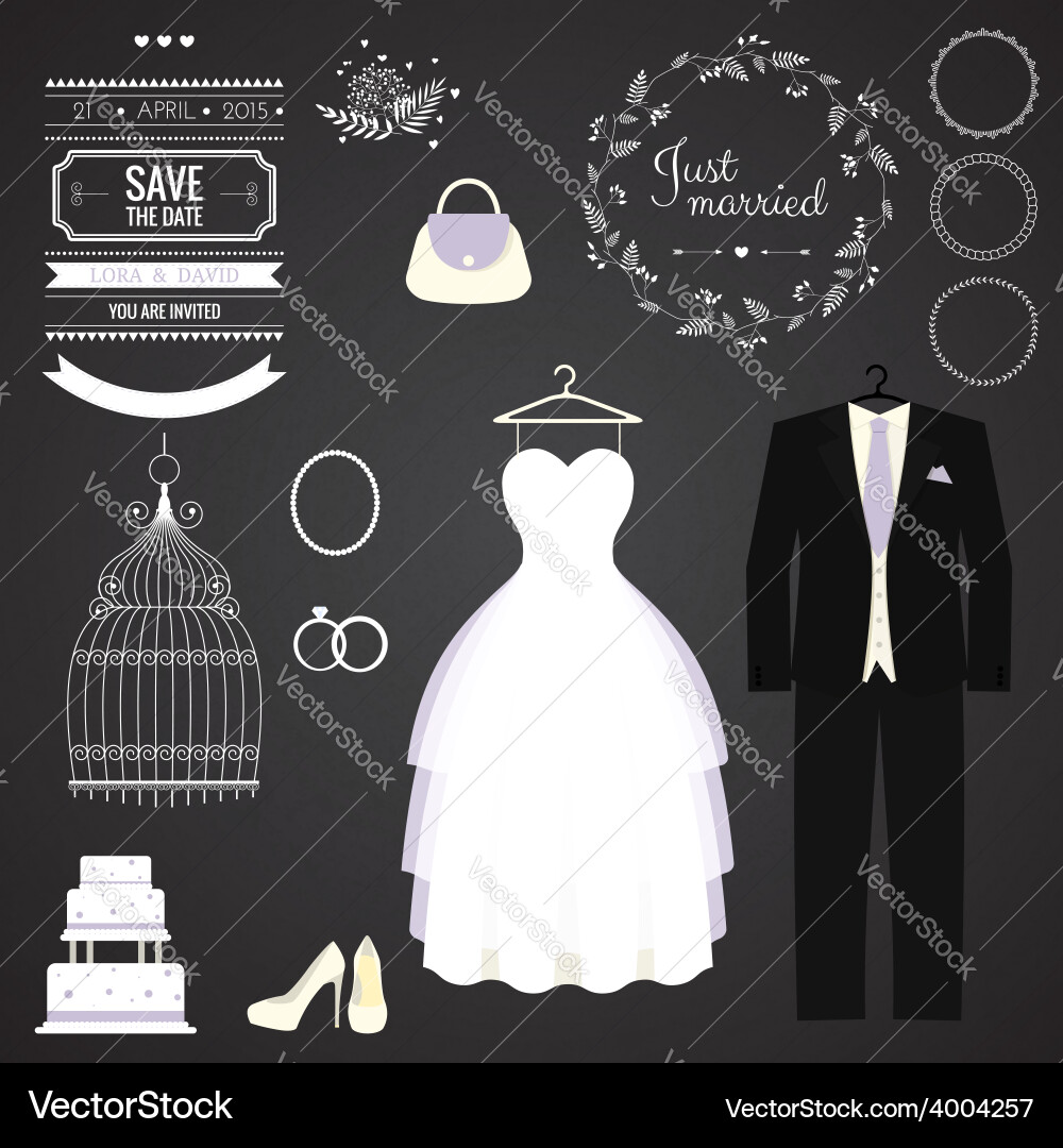 Wedding dresse and groom suit with different Vector Image