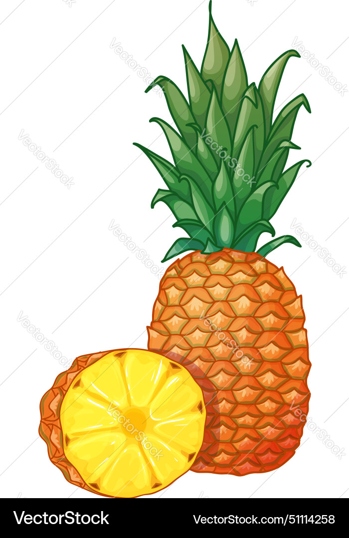 Pineapple Royalty Free Vector Image - VectorStock