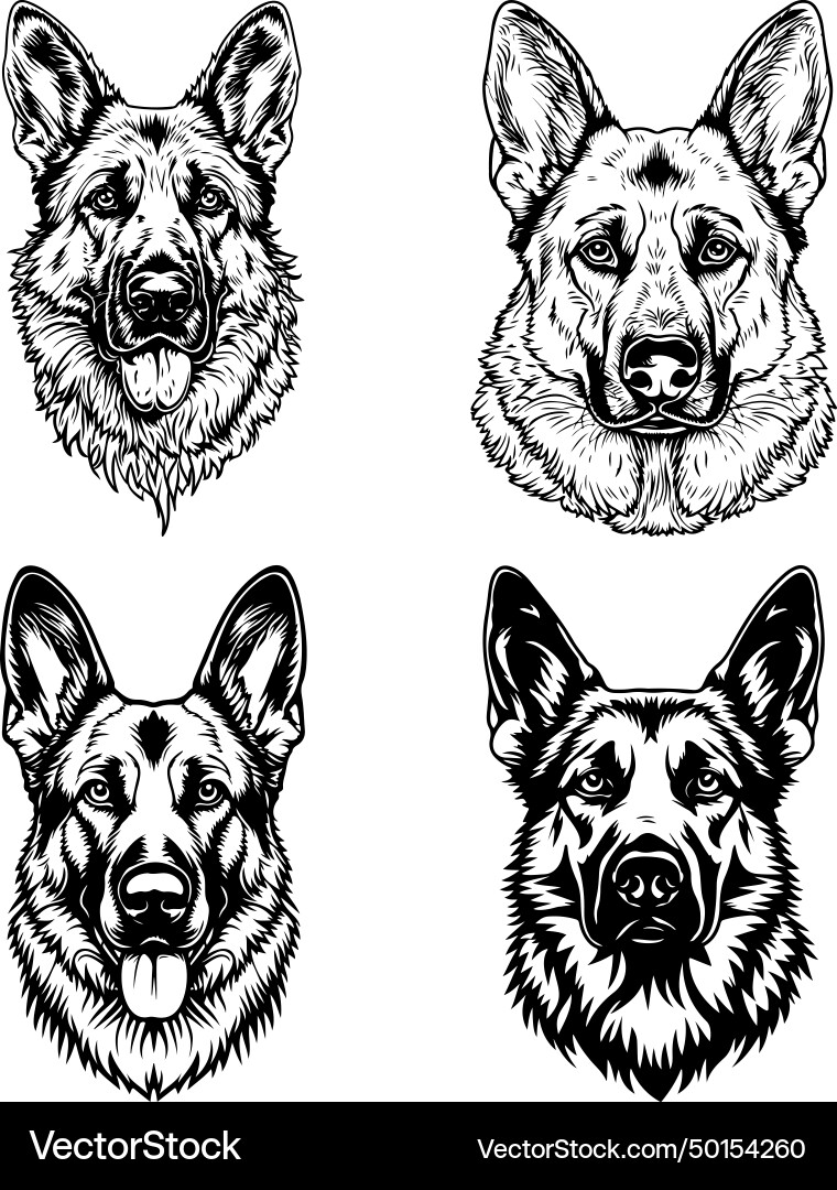 German shepherd dog face set Royalty Free Vector Image