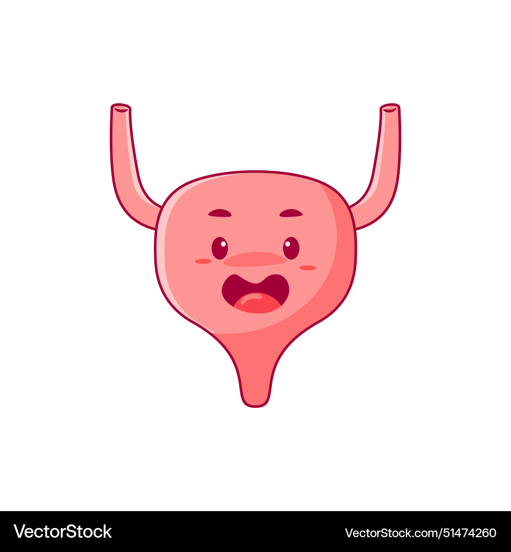 Strong healthy happy bladder character Royalty Free Vector