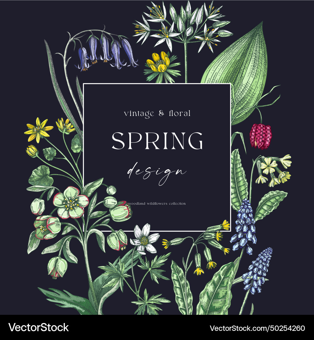 Wildflower Spring Wreath Royalty Free Vector Image