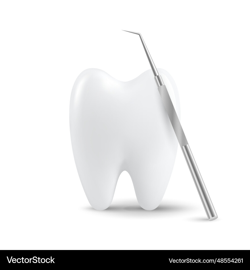 3d realistic tooth and dental probe Royalty Free Vector