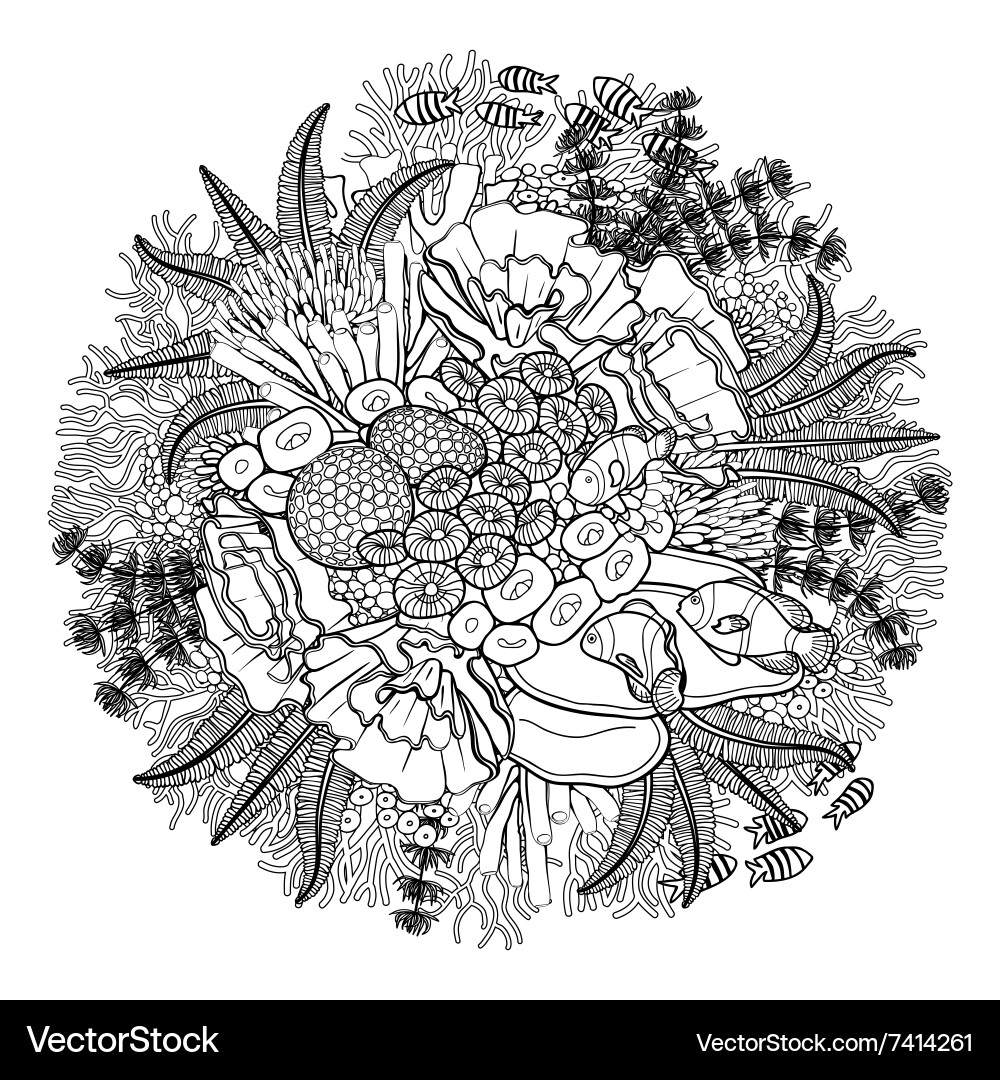 Coral reef design Royalty Free Vector Image - VectorStock