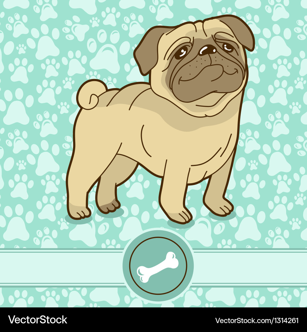 Funny cartoon pug Royalty Free Vector Image - VectorStock