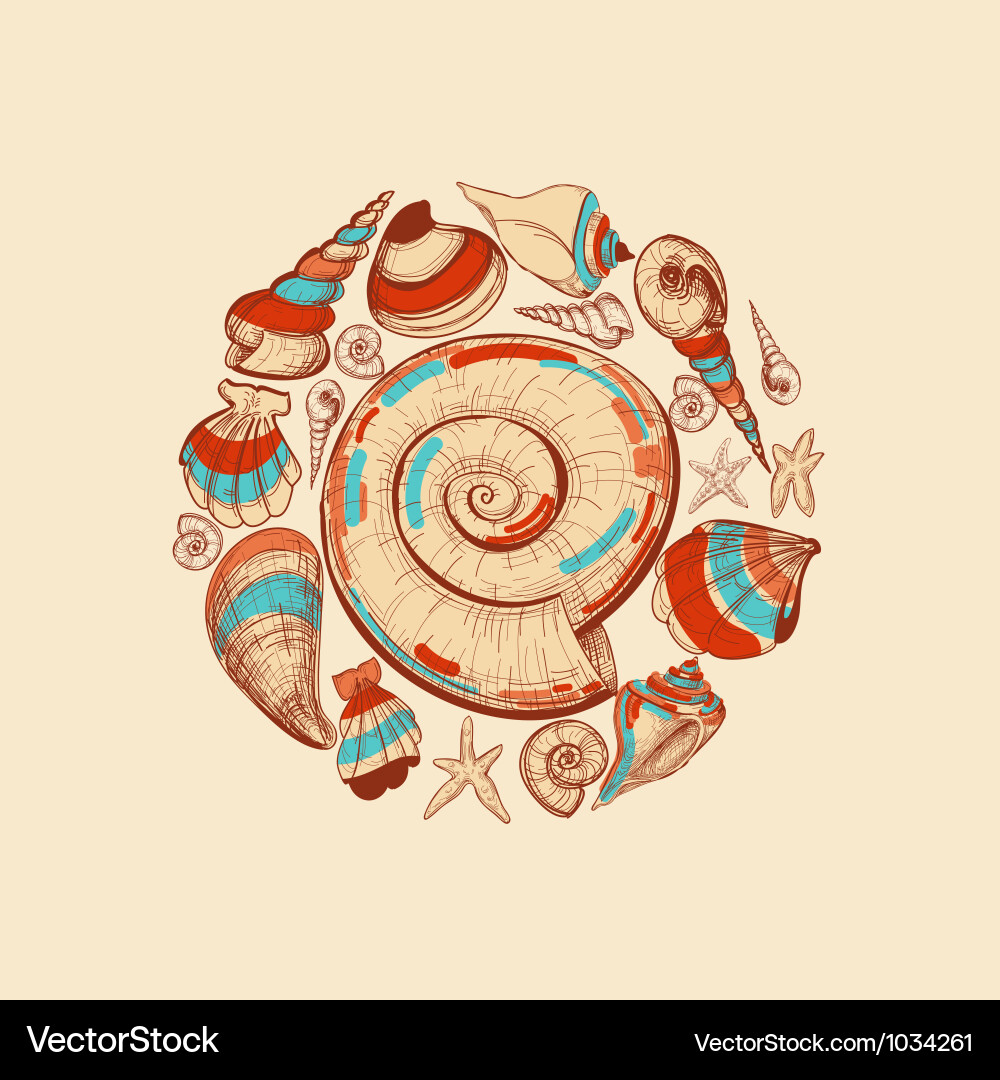 Shells round decoration Royalty Free Vector Image