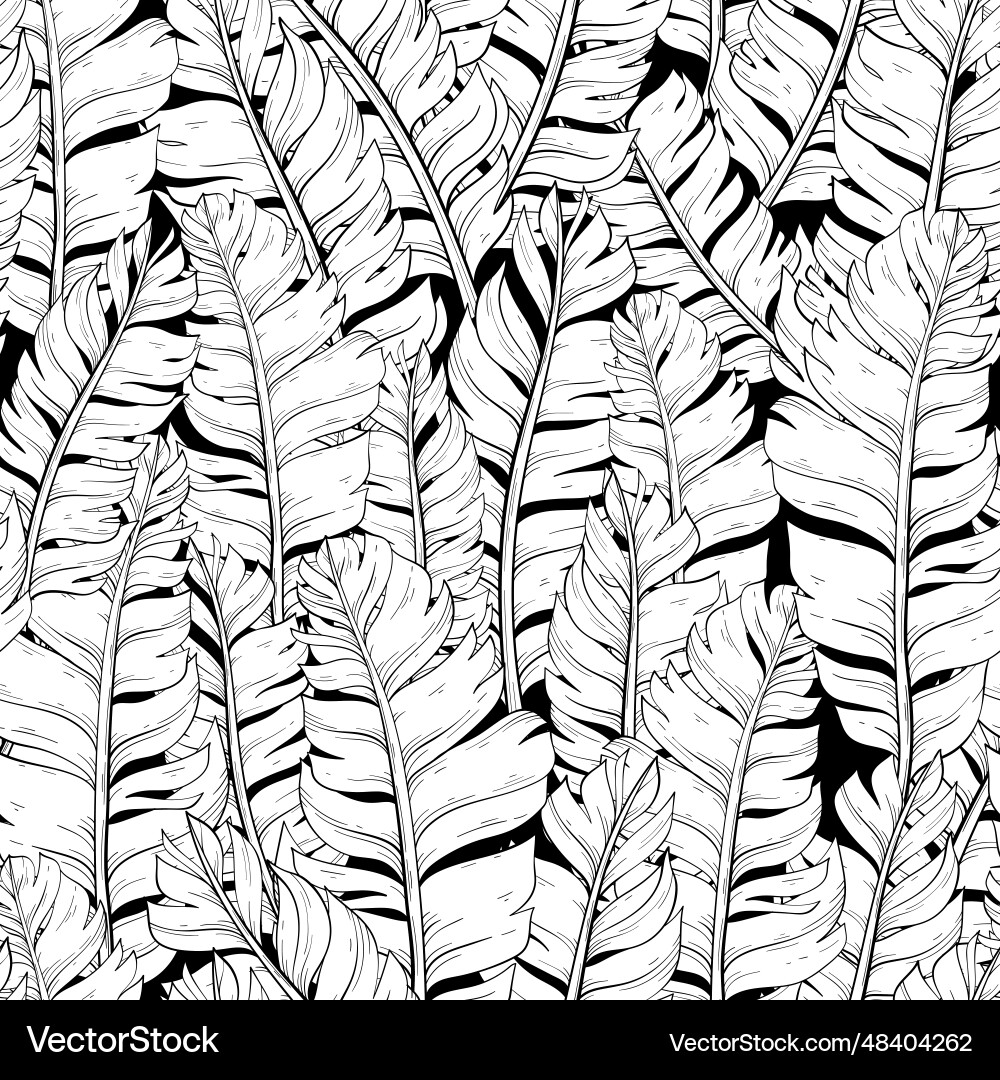Jungle Vector Black And White Line Art Jungle Cliparts, Stock Vector
