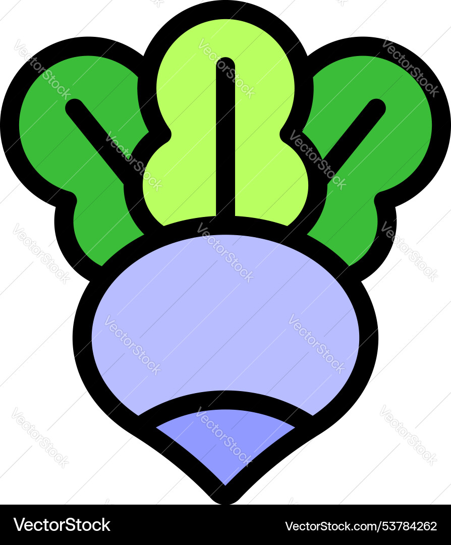 Fresh turnip vegetable showing green leaves Vector Image