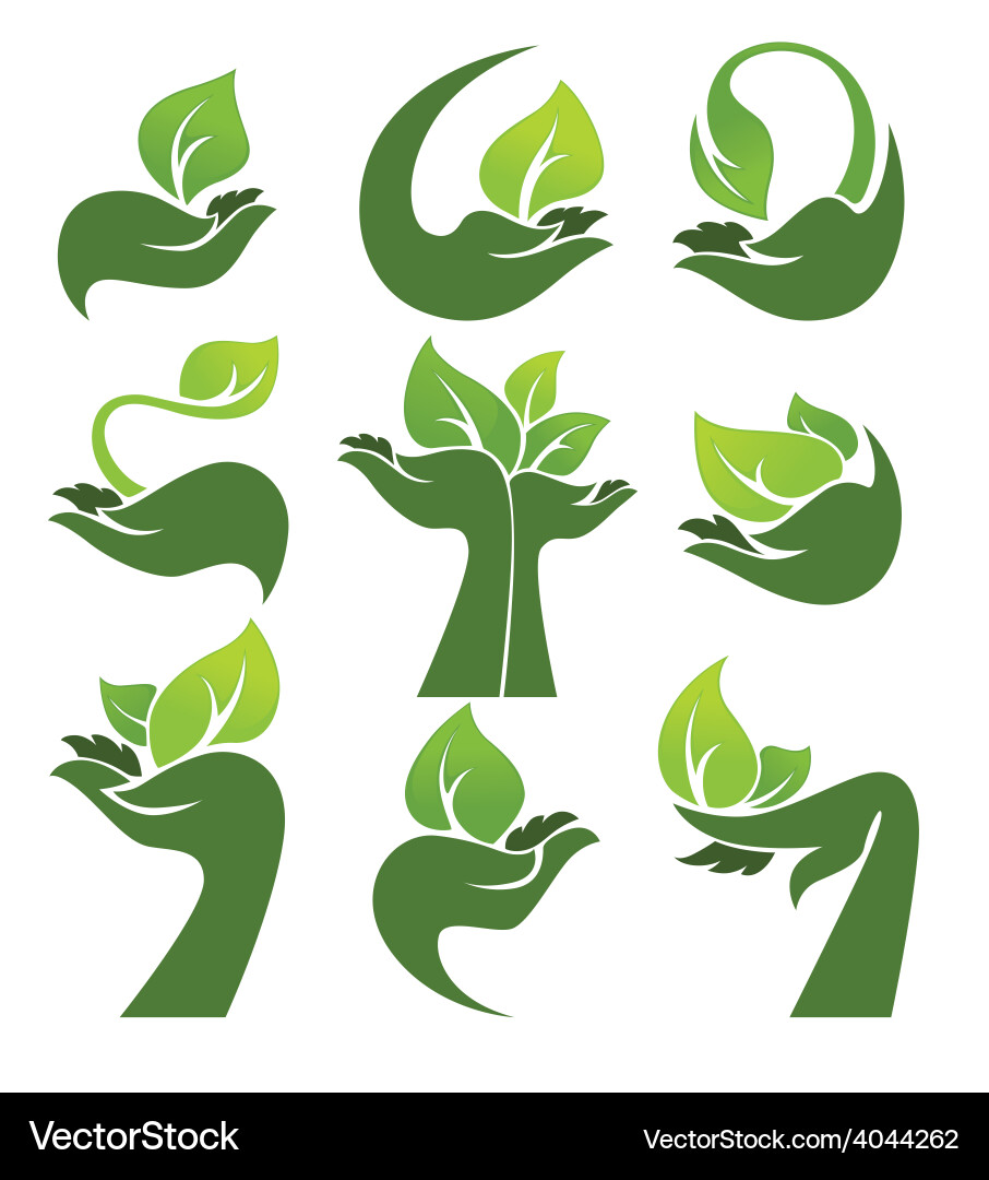 Leaves and hands Royalty Free Vector Image - VectorStock