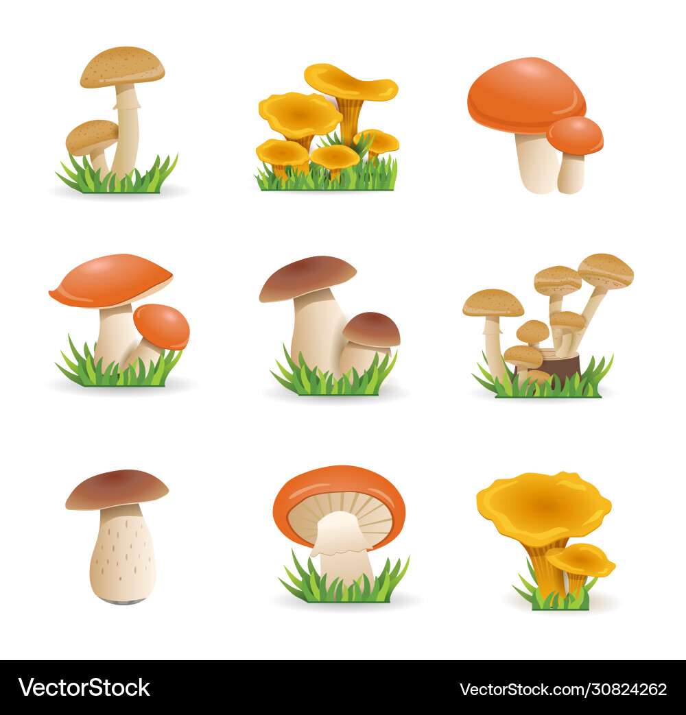 Mycelium Logo Vector Images (over 290)
