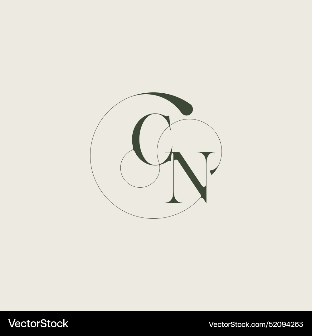 Beautiful monogram initial elegant line concept Vector Image