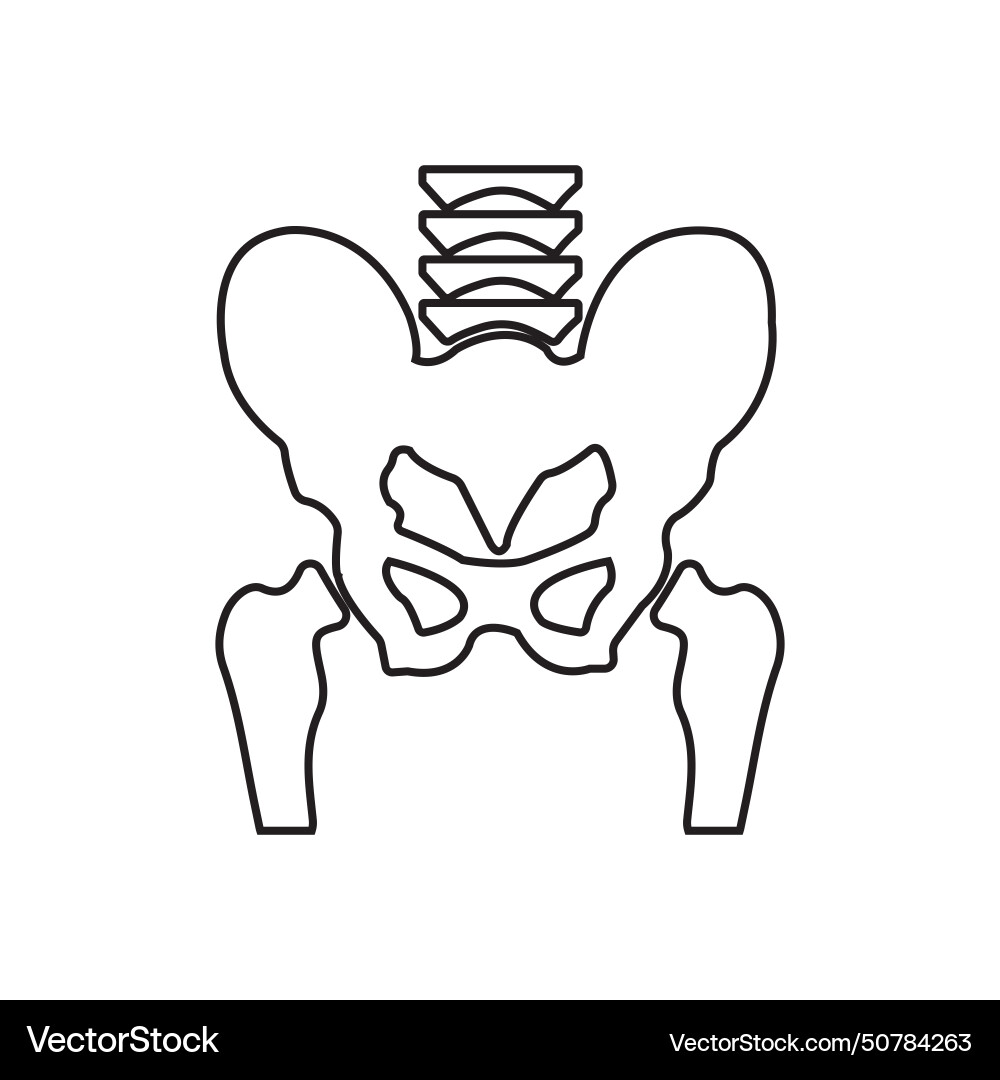 Hip bone icon Royalty Free Vector Image - VectorStock
