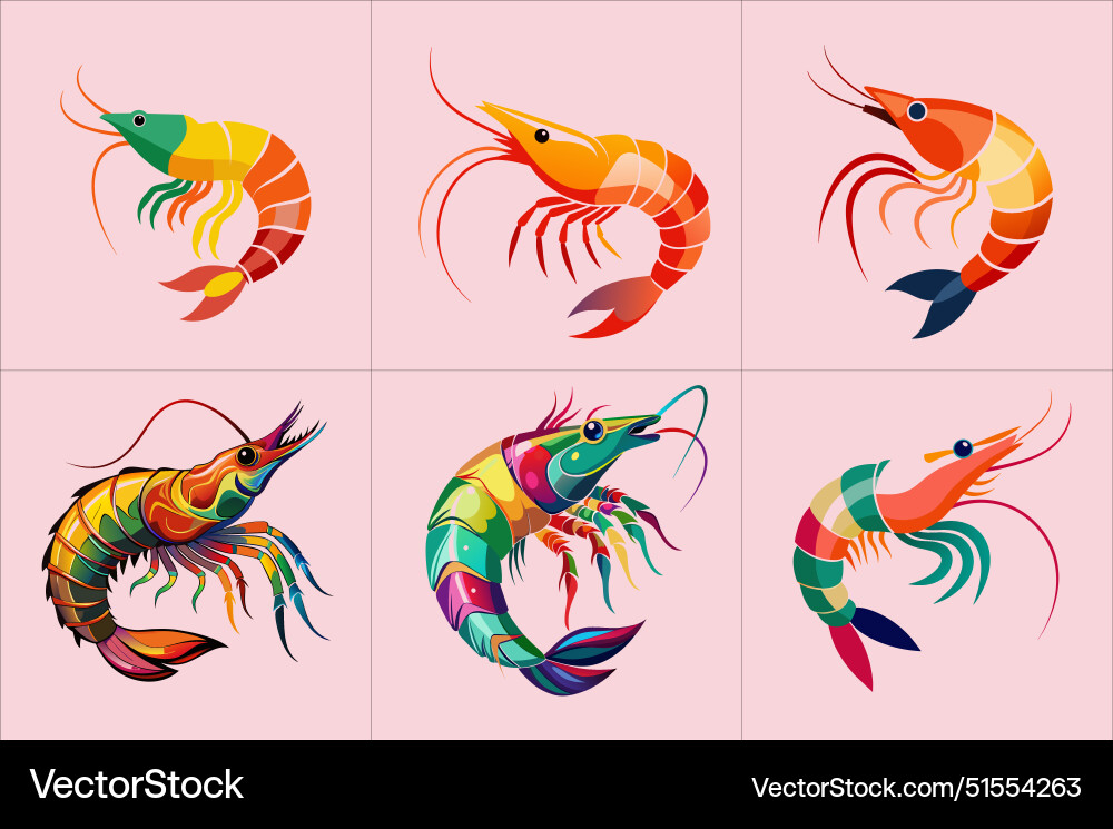Print shrimp colorful Royalty Free Vector Image