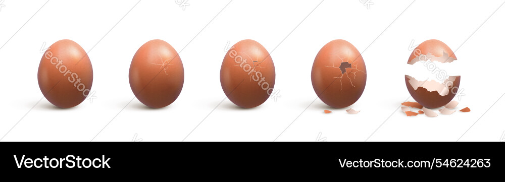 Realistic broken egg with cracks and shell pieces Vector Image