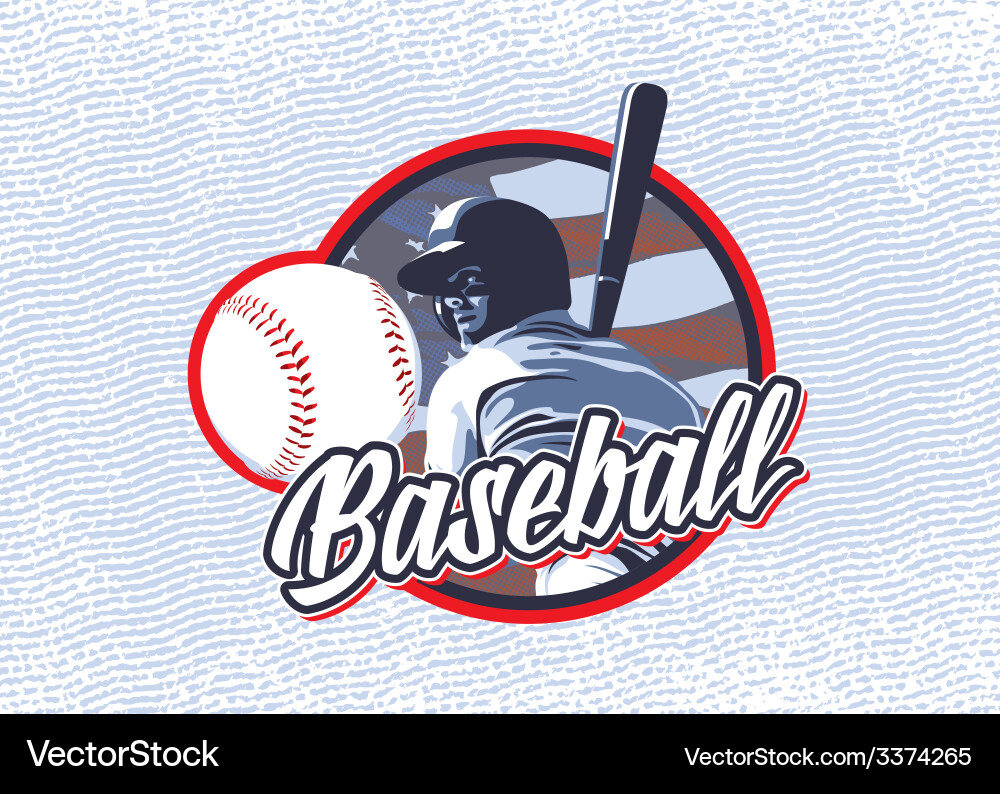 USA Baseball Flag Royalty Free Vector Image - VectorStock