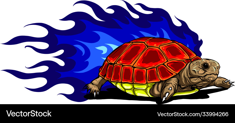 Sulcata land tortoise Royalty Free Vector Image