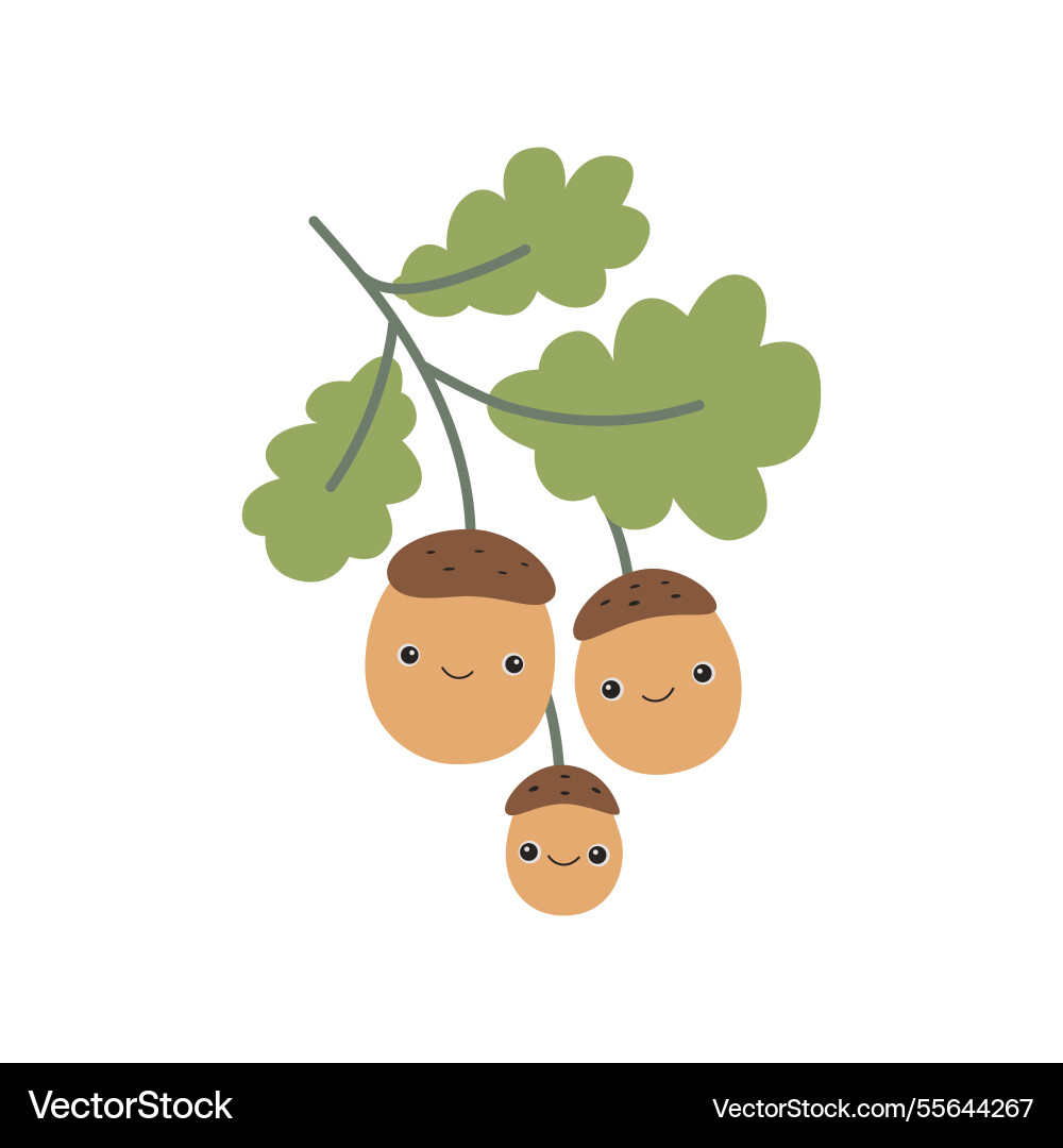 Acorns cute character kawaii for printing Vector Image