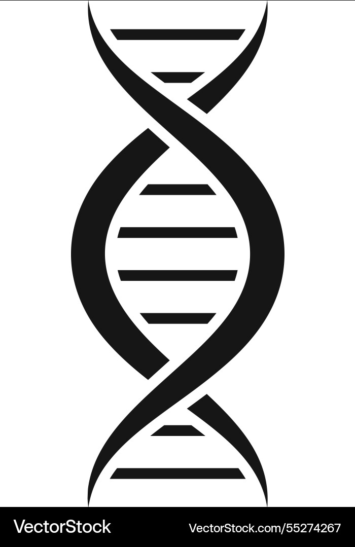 Dna molecule forming double helix with genetic Vector Image