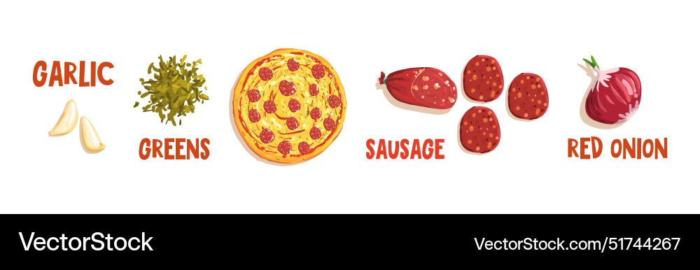 Pizza ingredient and food component for cooking Vector Image