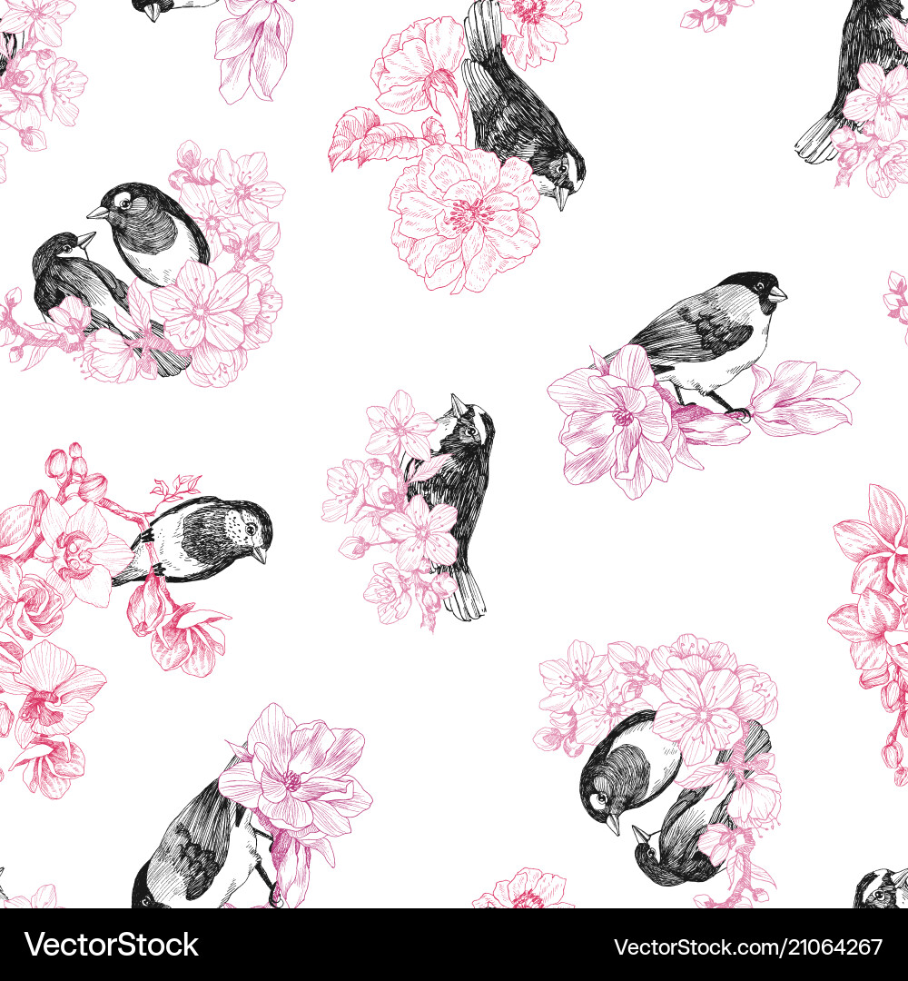 Seamless pattern of birds hand drawn in vintage Vector Image