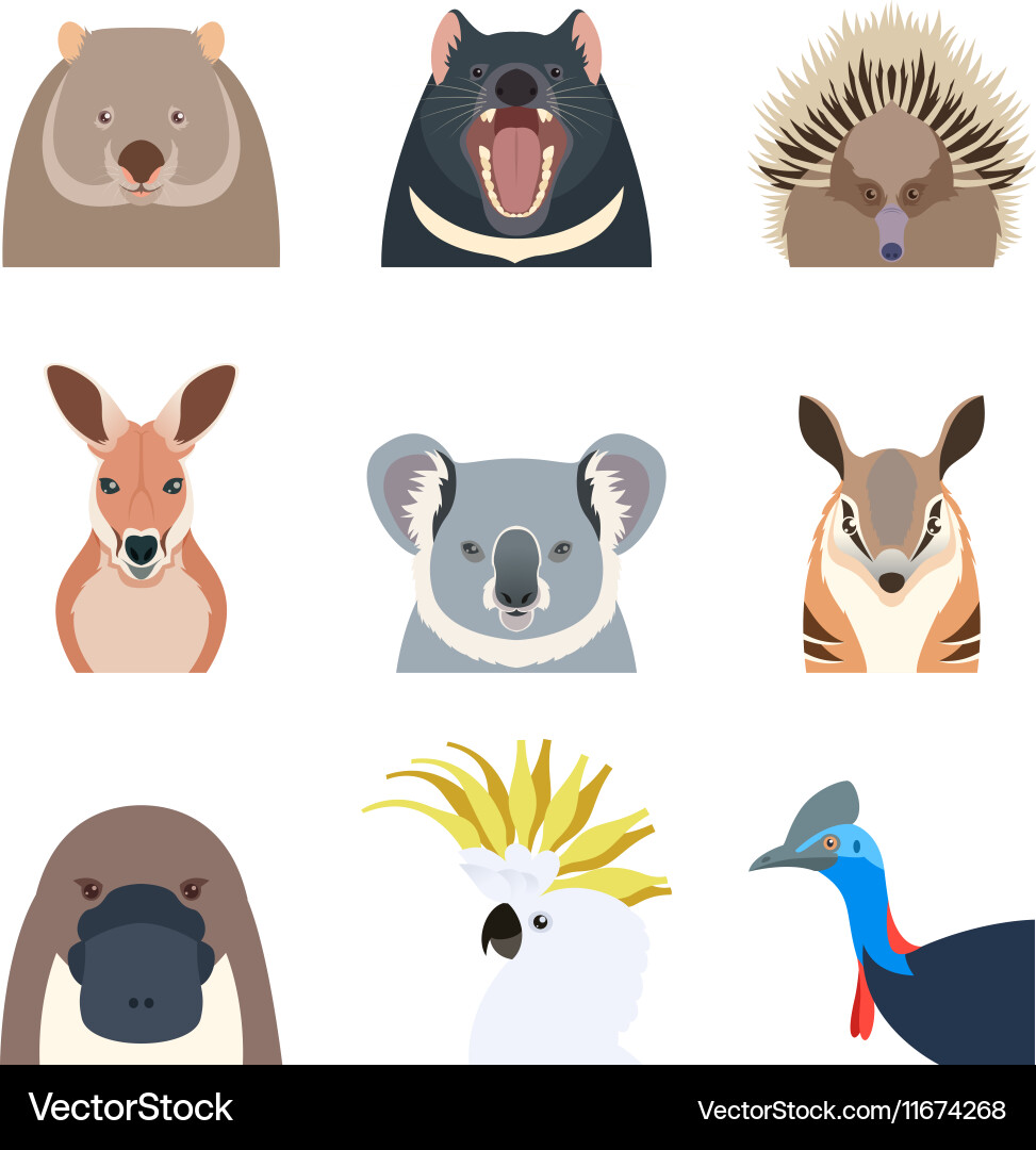Australian animals flat icons Royalty Free Vector Image