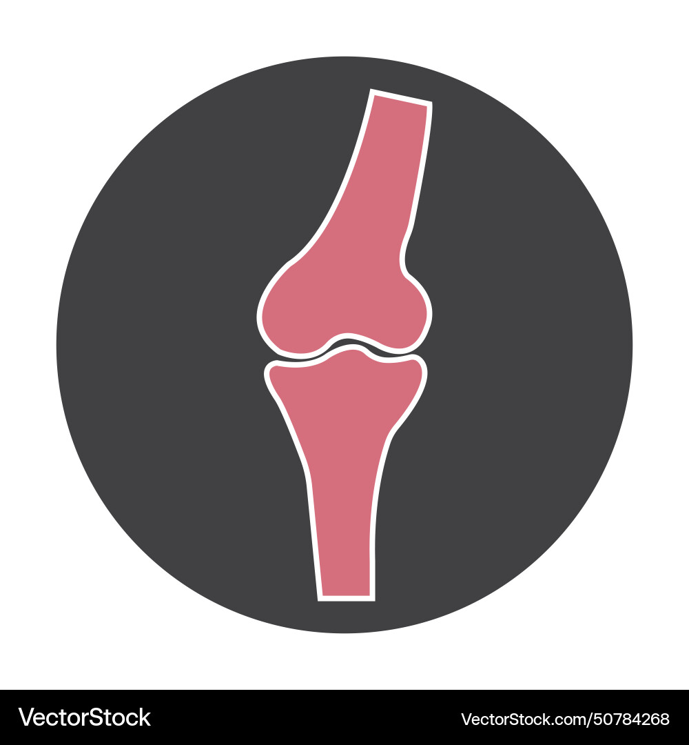 Bone joints icon Royalty Free Vector Image - VectorStock